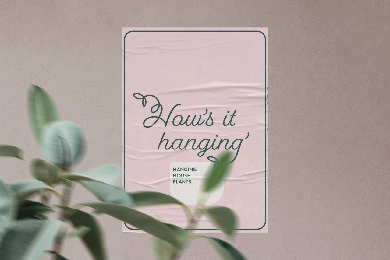 Portfolio - pineapplestudio.design